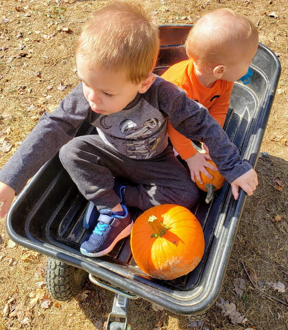 It’s Finally Pumpkin Patch Time With A Farm Animal Surprise - Path to Me